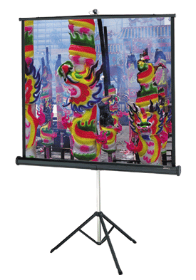Screens for 3D Polarized Projection – Berezin 3D Gear