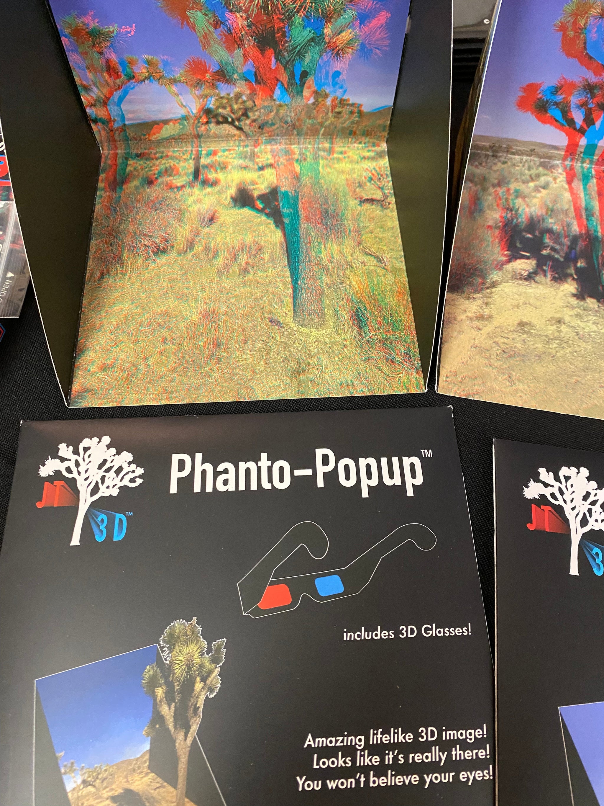 Phanto-Popup Joshua Tree Complete 6 Card Set – Berezin 3D Gear